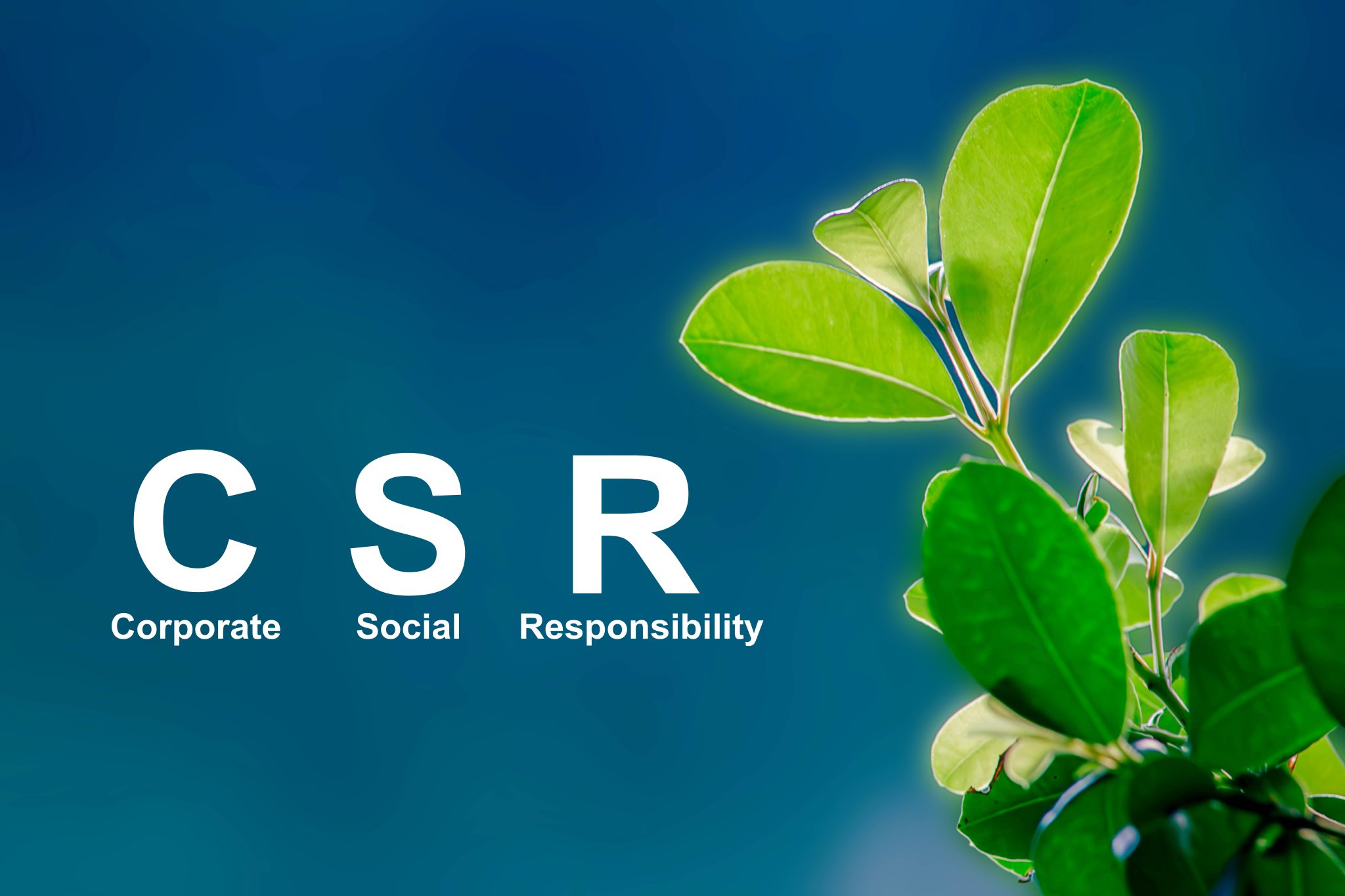 Events & CSR Summits – Think Unique